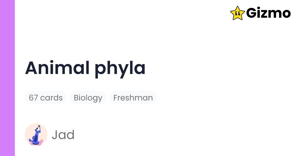 Animal Phyla | Flashcards