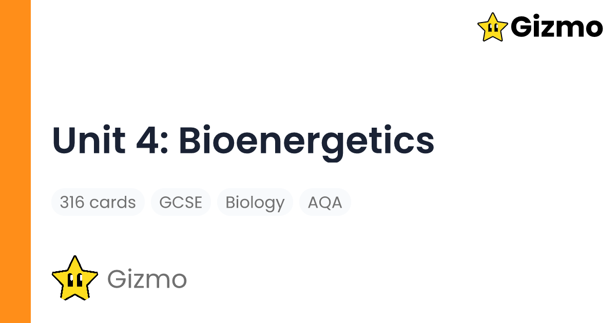Unit 4: Bioenergetics | Flashcards