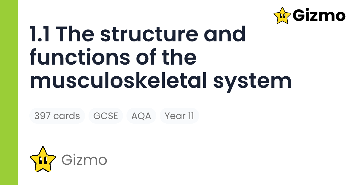 1.1 the Structure and Functions Of the Musculoskeletal System | Flashcards