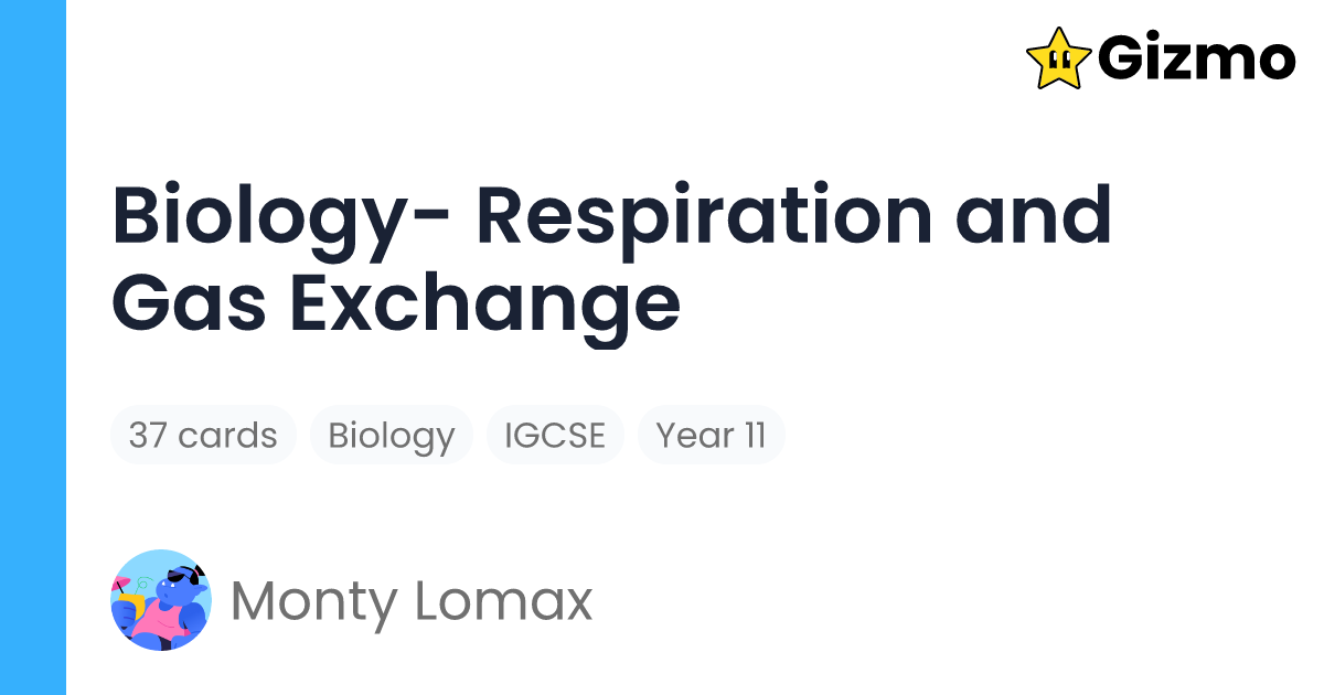 Biology- Respiration and Gas Exchange | Flashcards