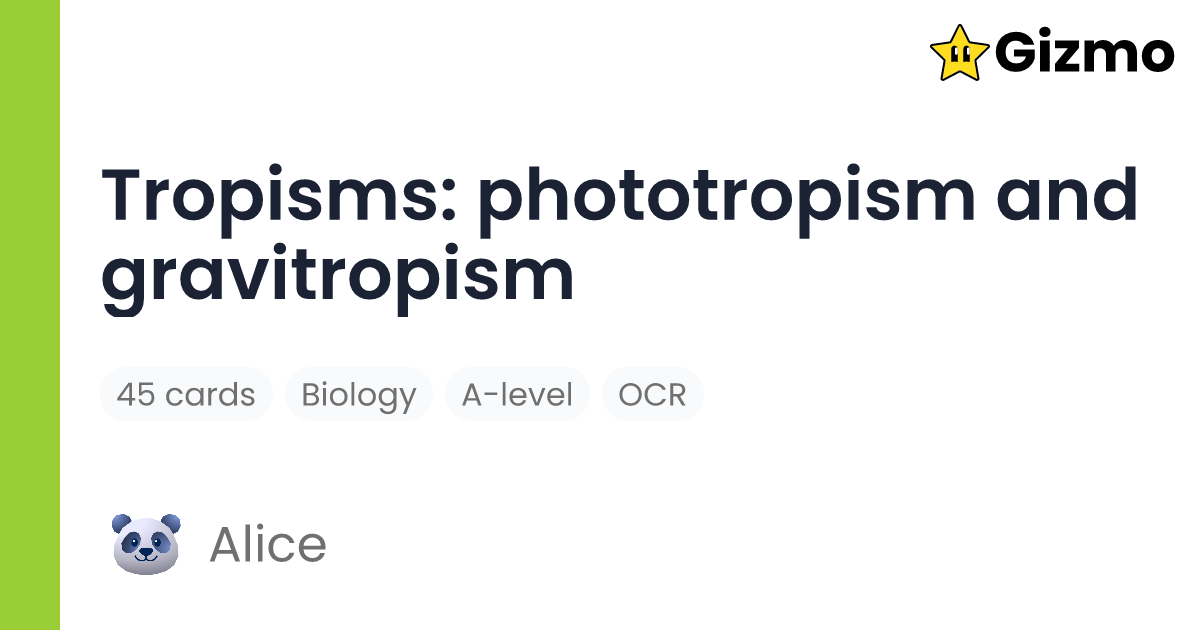 Tropisms: Phototropism and Gravitropism | Flashcards