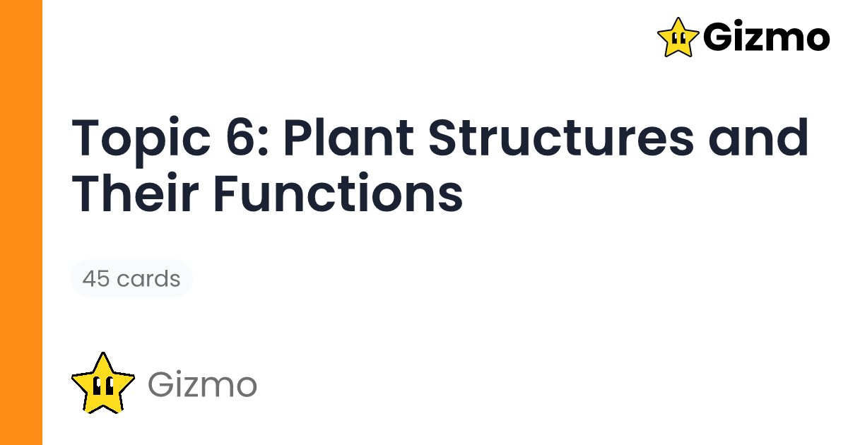 Topic 6: Plant Structures and Their Functions | Flashcards