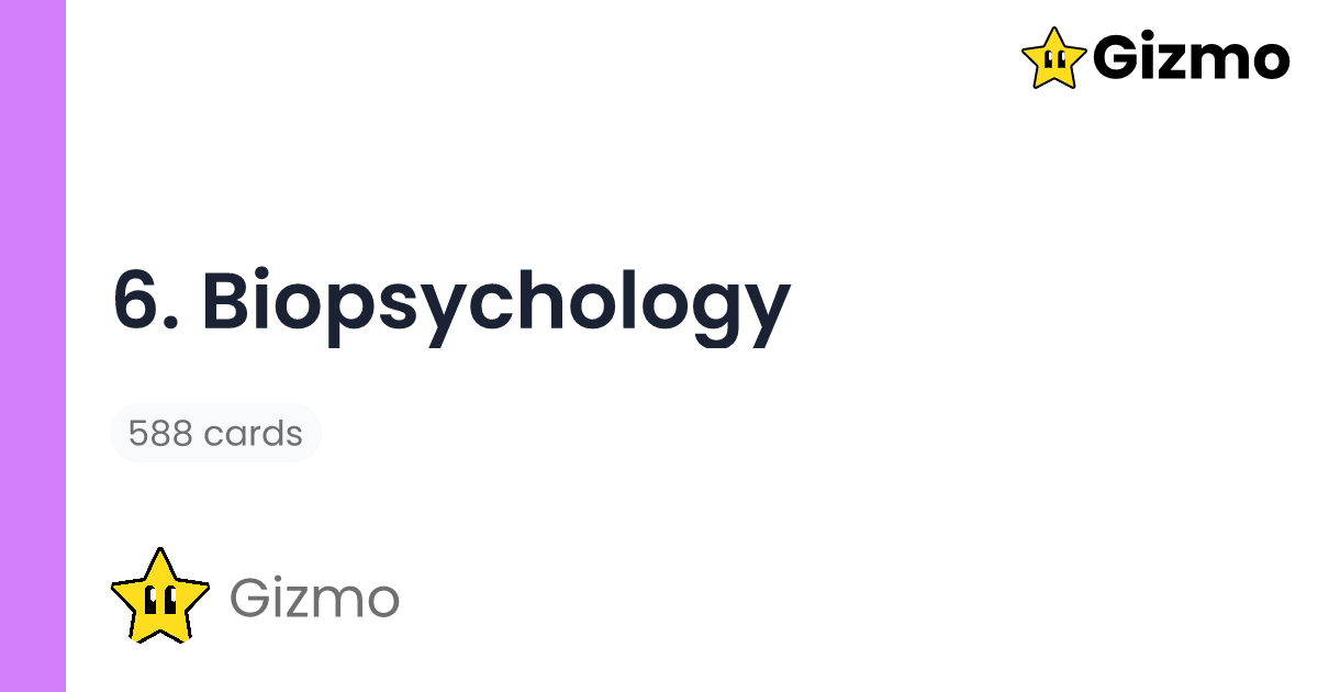 6. Biopsychology | Flashcards