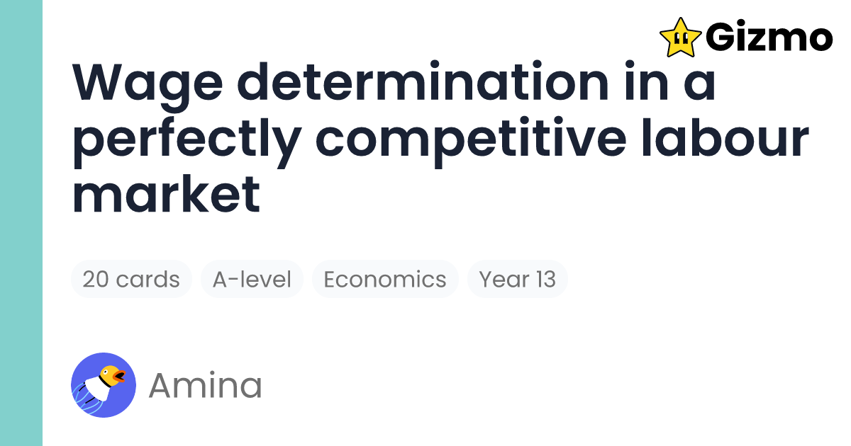 Wage Determination in a Perfectly Competitive Labour Market | Flashcards