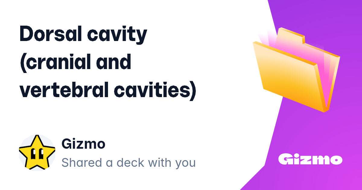 Dorsal Cavity (cranial and Vertebral Cavities) | Flashcards