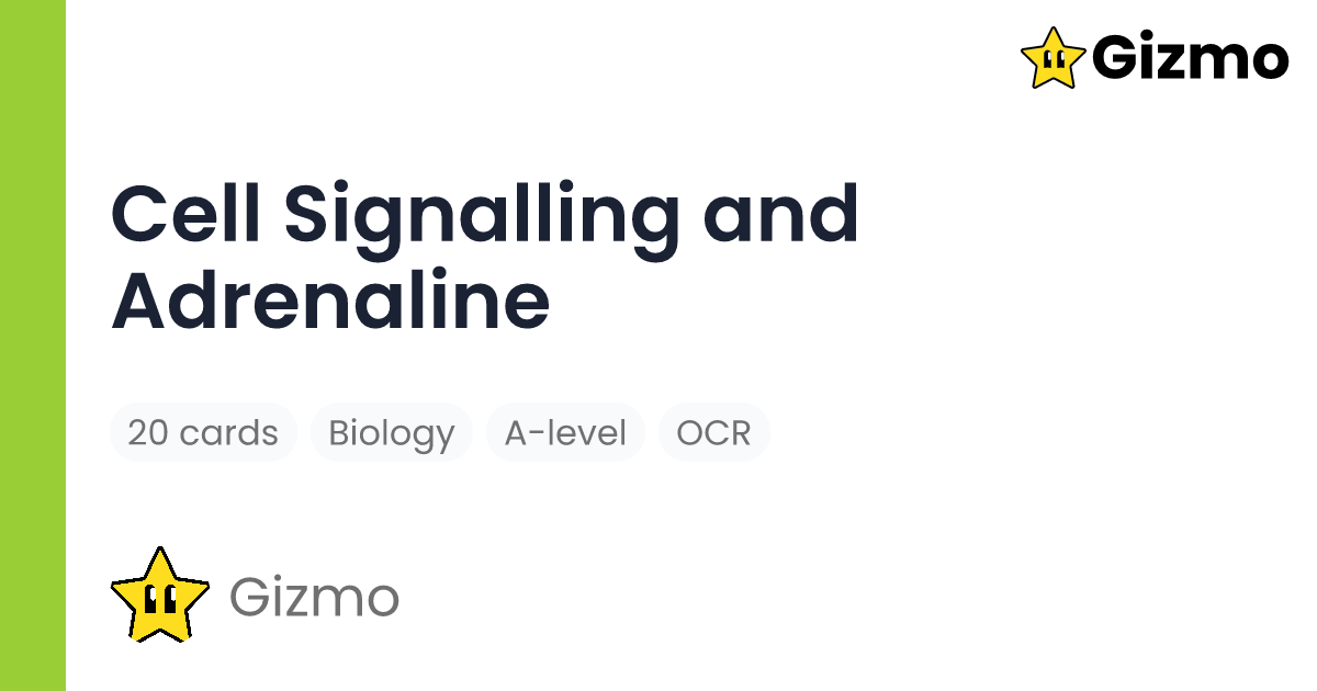 Cell Signalling and Adrenaline | Flashcards