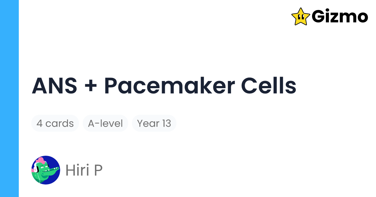 Ans + Pacemaker Cells | Flashcards