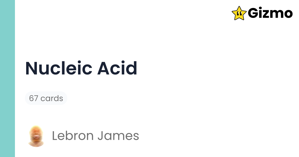 Nucleic Acid | Flashcards