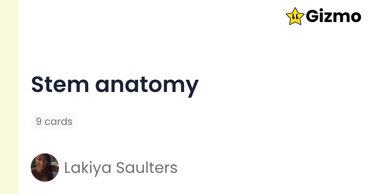 Stem Anatomy | Flashcards