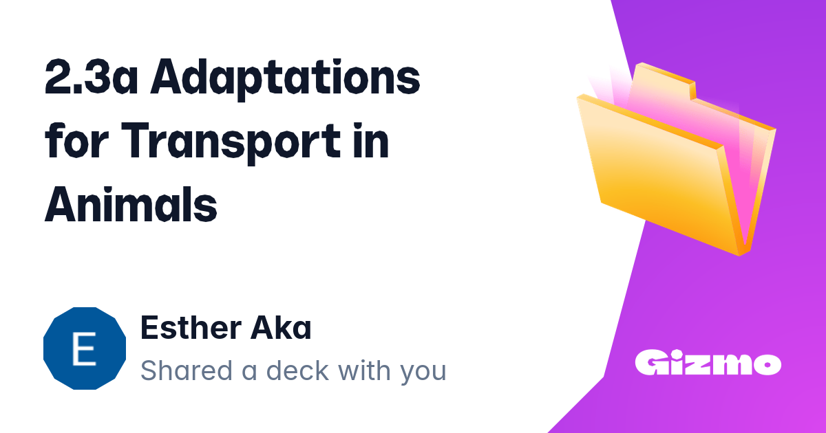 2.3a Adaptations for Transport in Animals | Flashcards