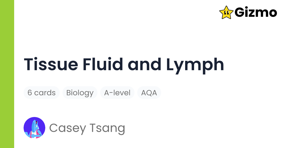 Tissue Fluid and Lymph | Flashcards