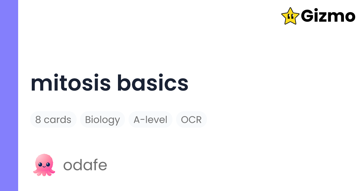 Mitosis Basics | Flashcards