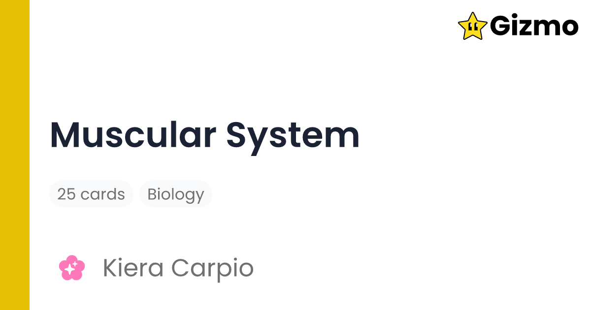 Muscular System | Flashcards