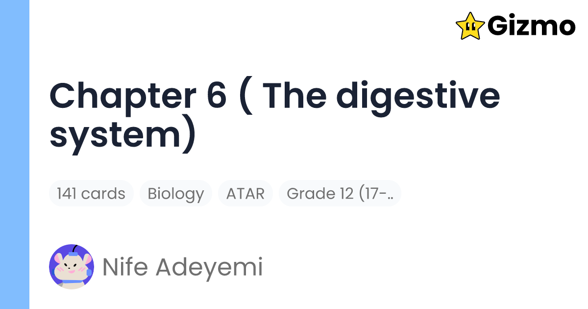 Chapter 6 ( the Digestive System) | Flashcards