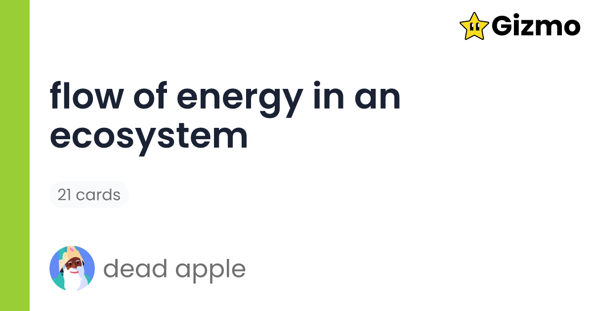 Flow Of Energy in an Ecosystem | Flashcards