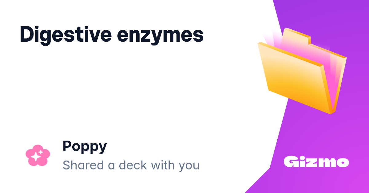 Digestive Enzymes | Flashcards