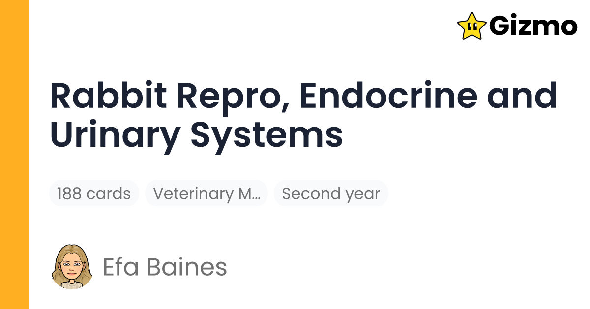 Rabbit Repro, Endocrine and Urinary Systems | Flashcards