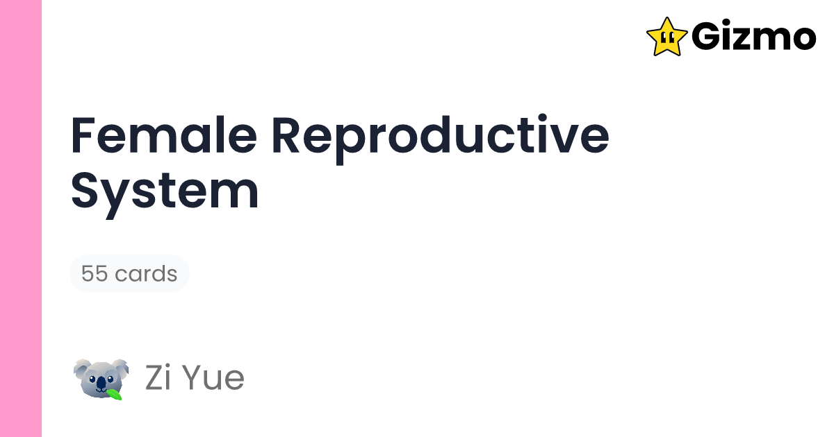 Female Reproductive System | Flashcards