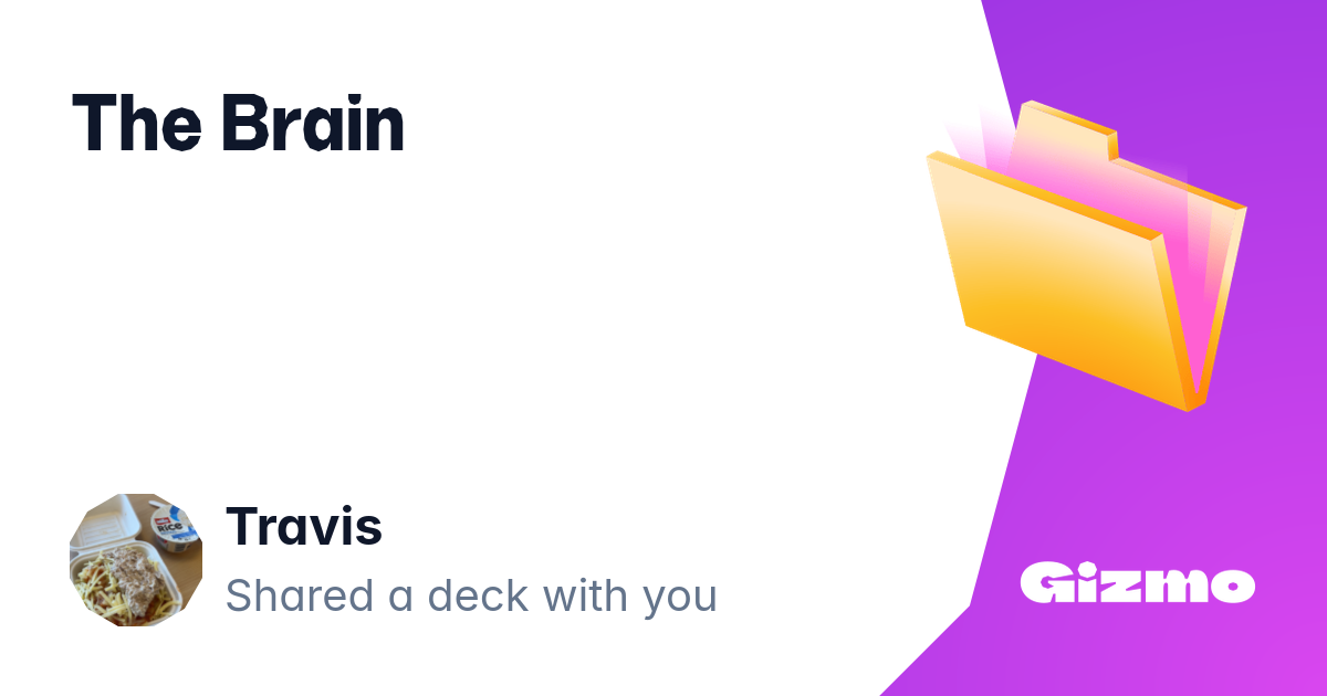 The Brain | Flashcards