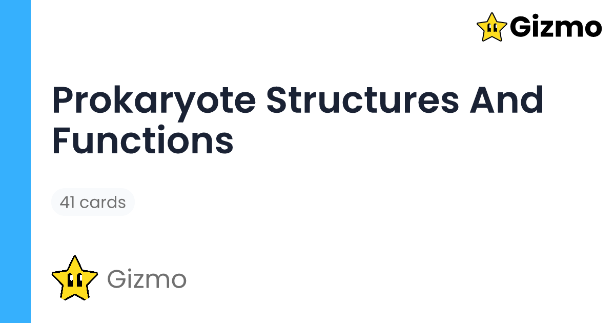 Prokaryote Structures and Functions | Flashcards