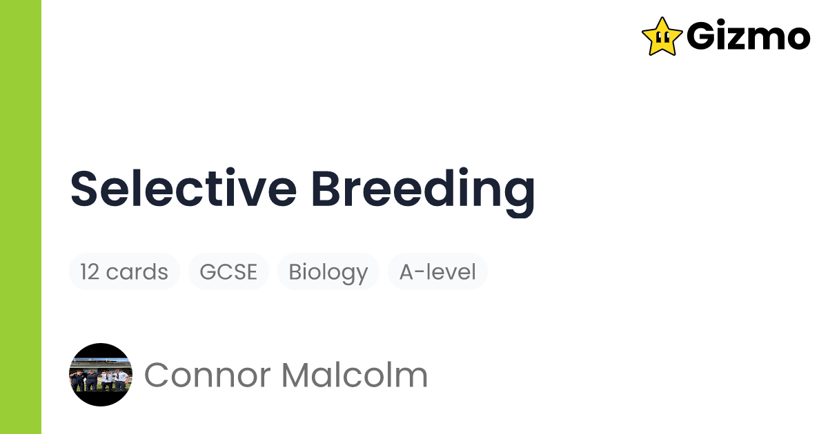Selective Breeding | Flashcards
