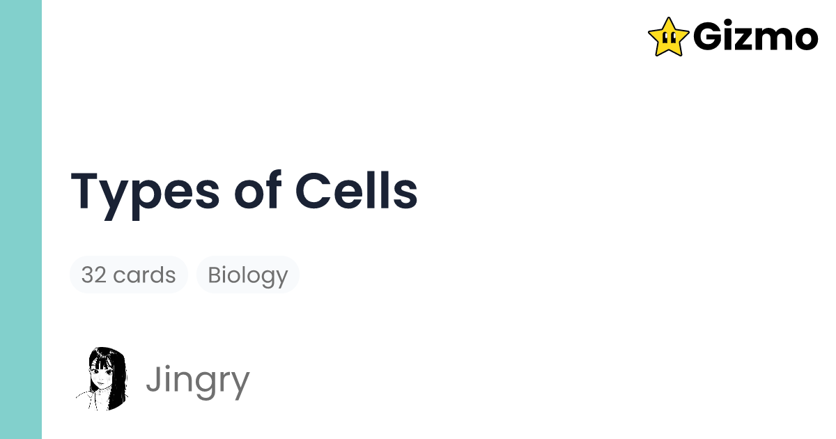 Types Of Cells | Flashcards