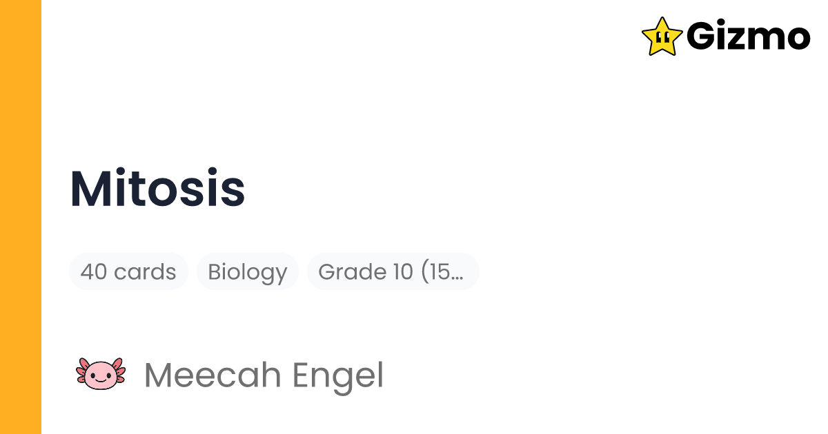 Mitosis | Flashcards