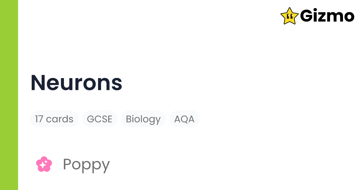 Neurons | Flashcards