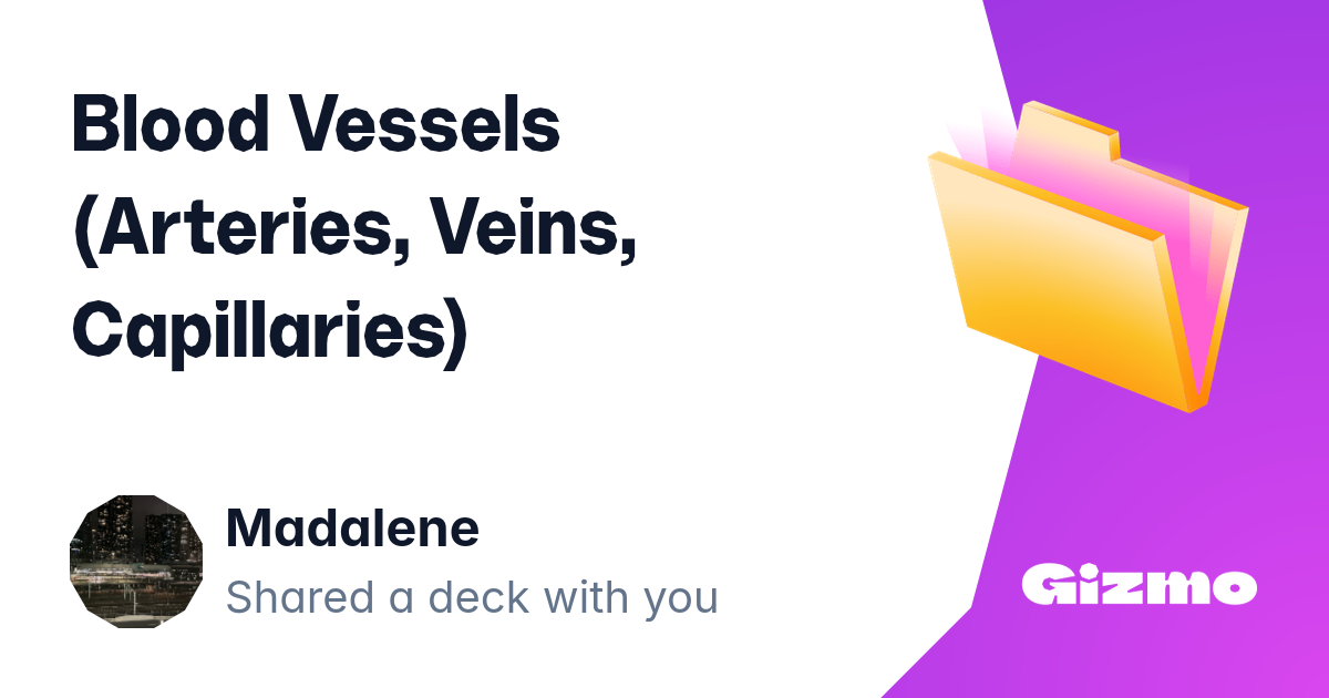 Blood Vessels (arteries, Veins, Capillaries) | Flashcards