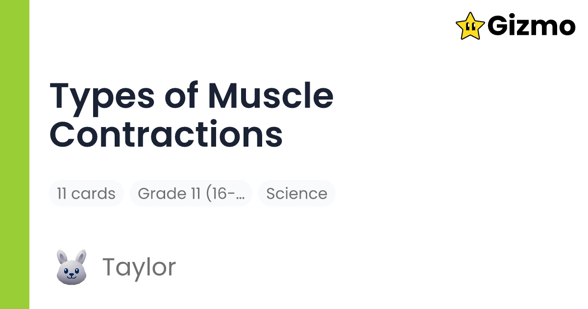 Types Of Muscle Contractions | Flashcards