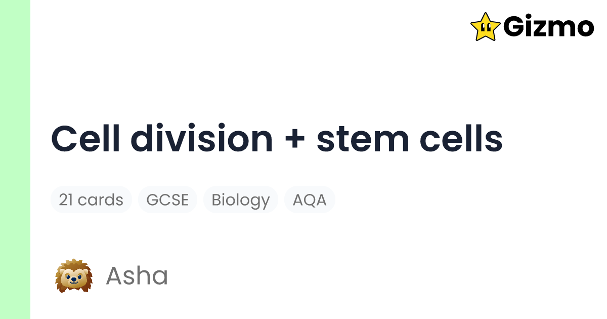 Cell Division + Stem Cells | Flashcards