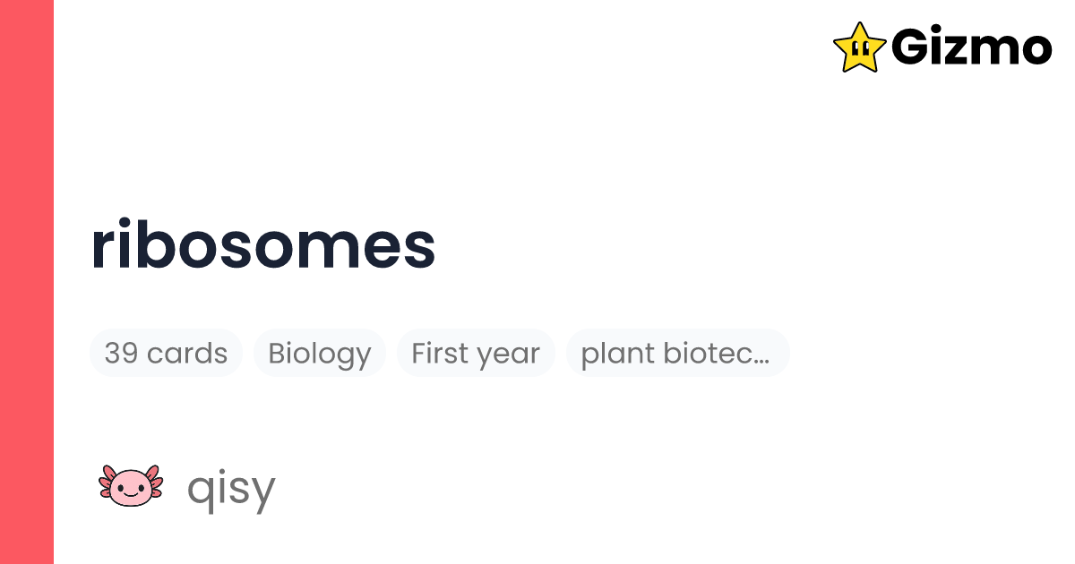 Ribosomes | Flashcards