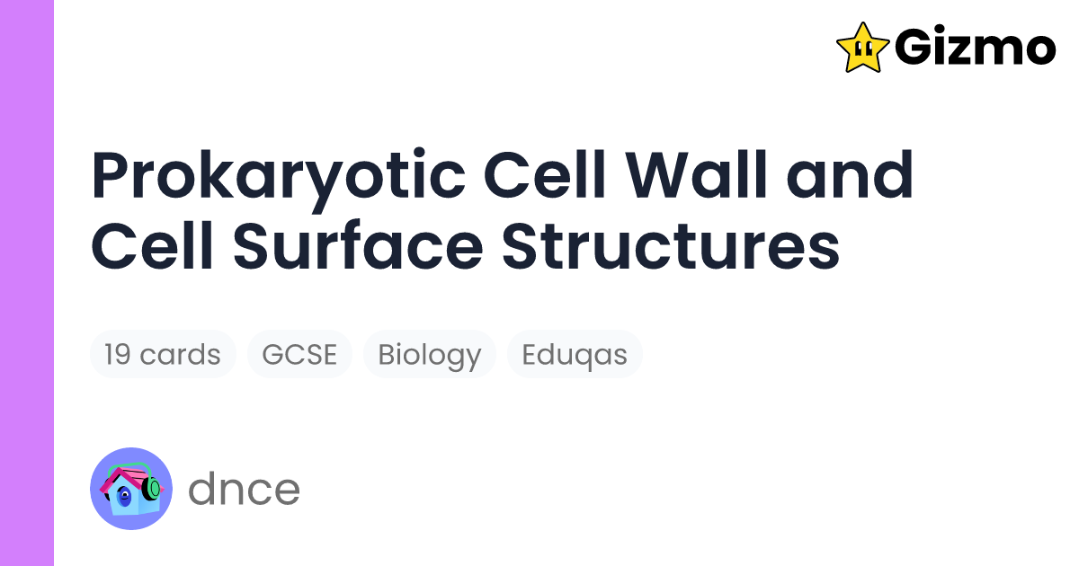 Prokaryotic Cell Wall and Cell Surface Structures | Flashcards