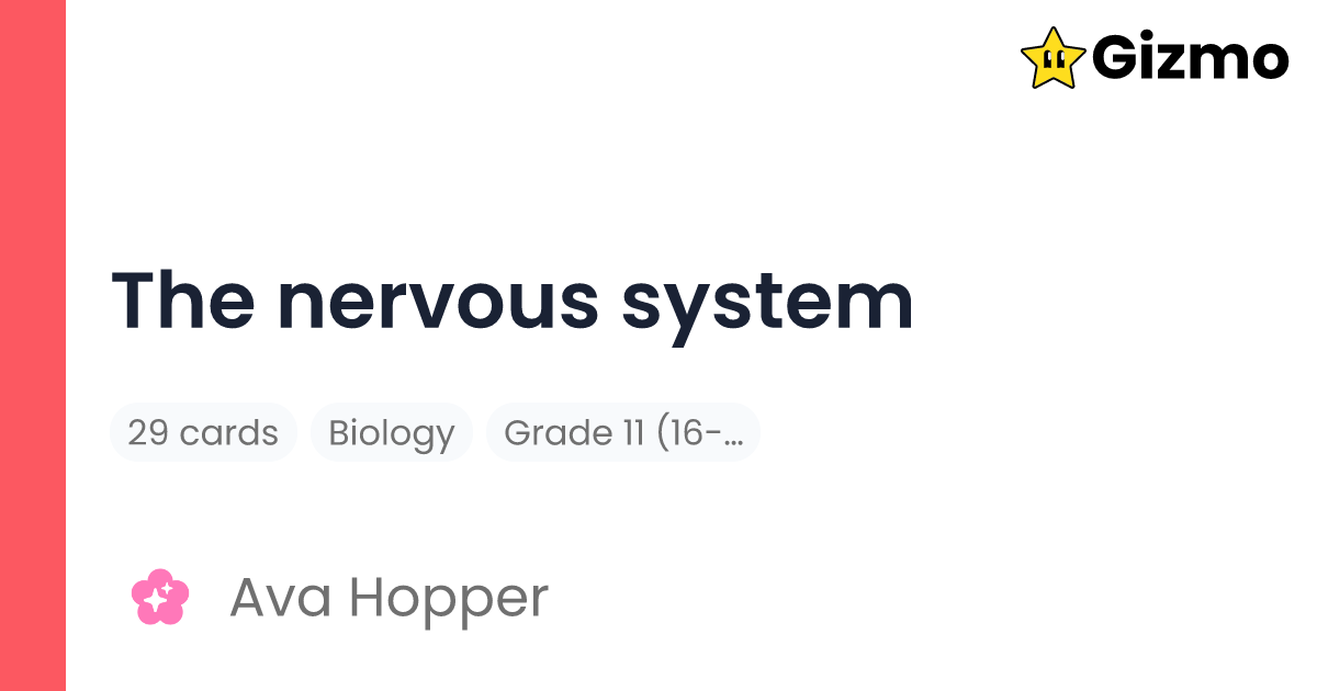 The Nervous System | Flashcards