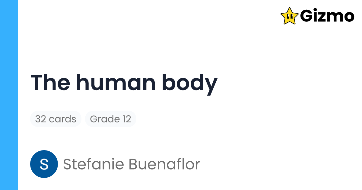 The Human Body | Flashcards