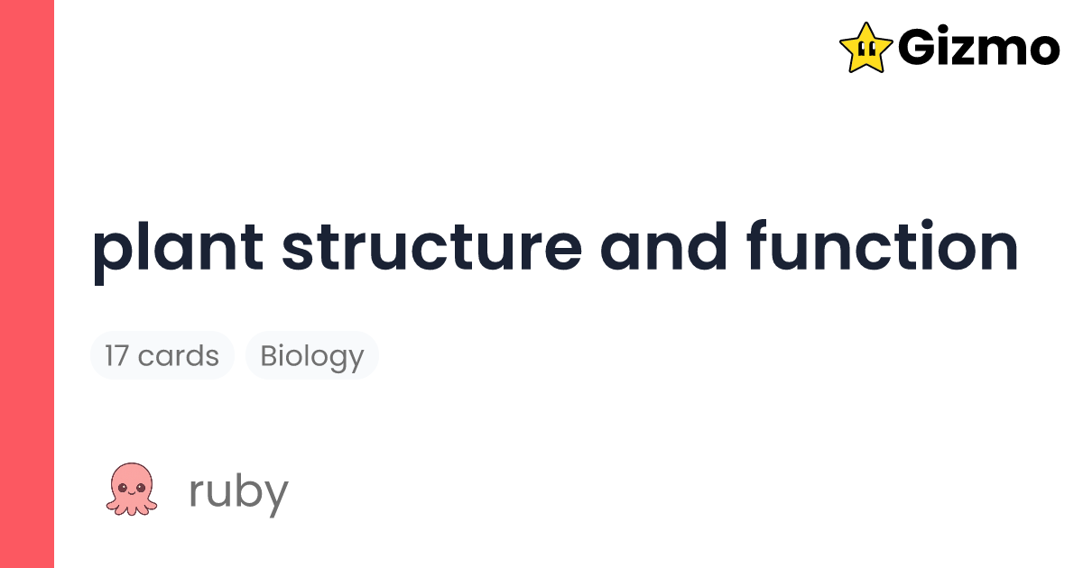 Plant Structure and Function | Flashcards