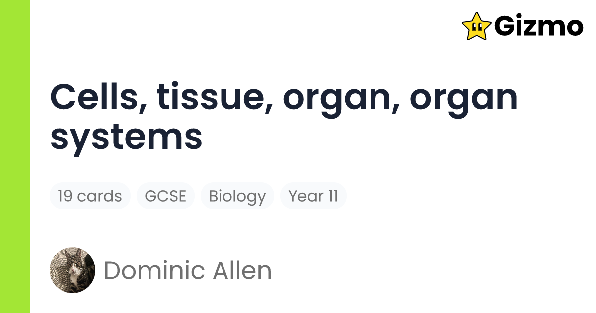 Cells, Tissue, Organ, Organ Systems | Flashcards