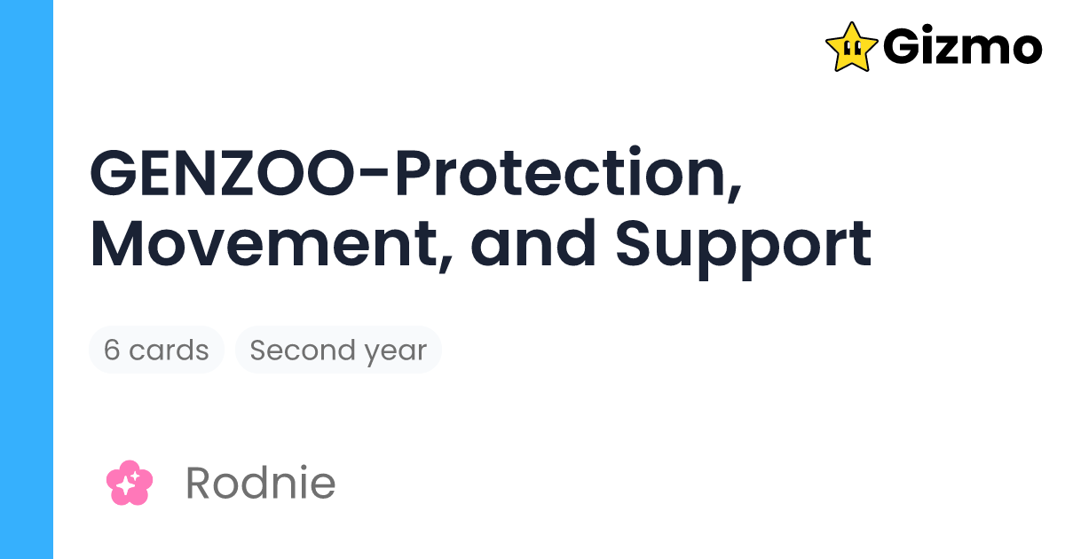 Genzoo-protection, Movement, and Support | Flashcards