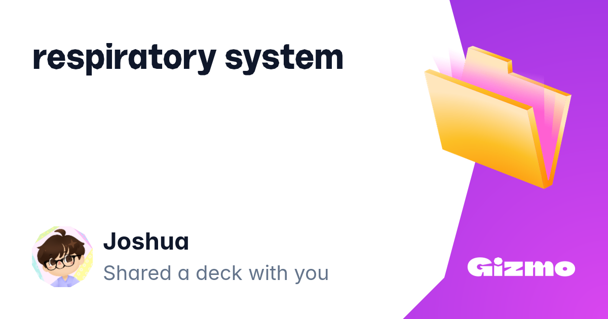 Respiratory System | Flashcards