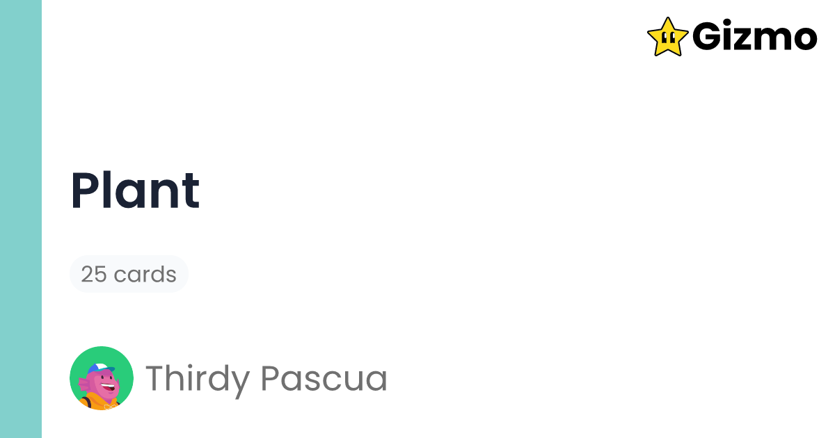 Plant | Flashcards