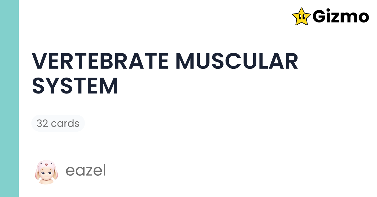 Vertebrate Muscular System | Flashcards