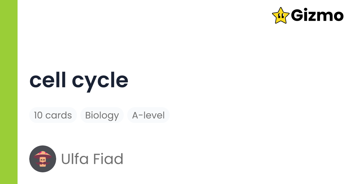 Cell Cycle | Flashcards