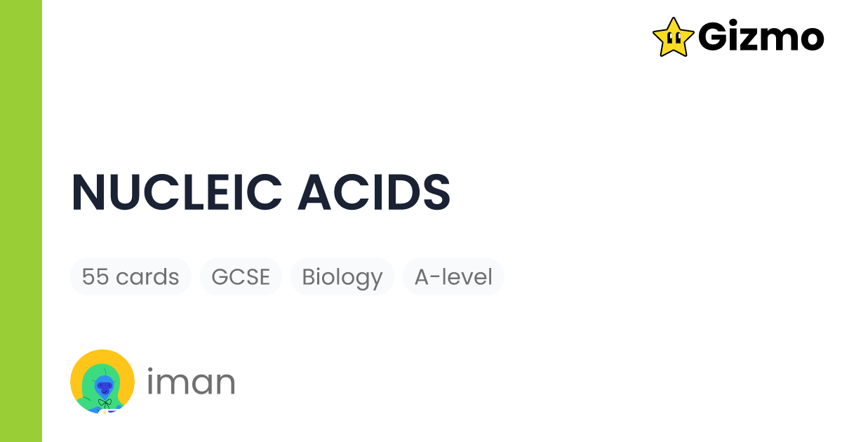 Nucleic Acids | Flashcards