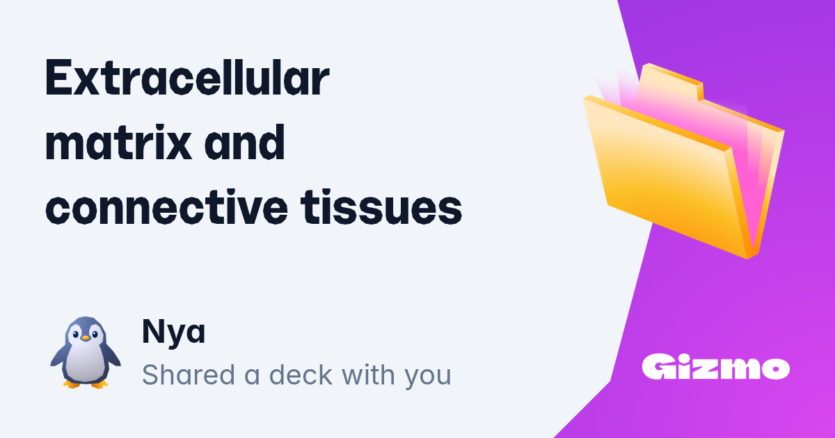 Extracellular Matrix and Connective Tissues | Flashcards