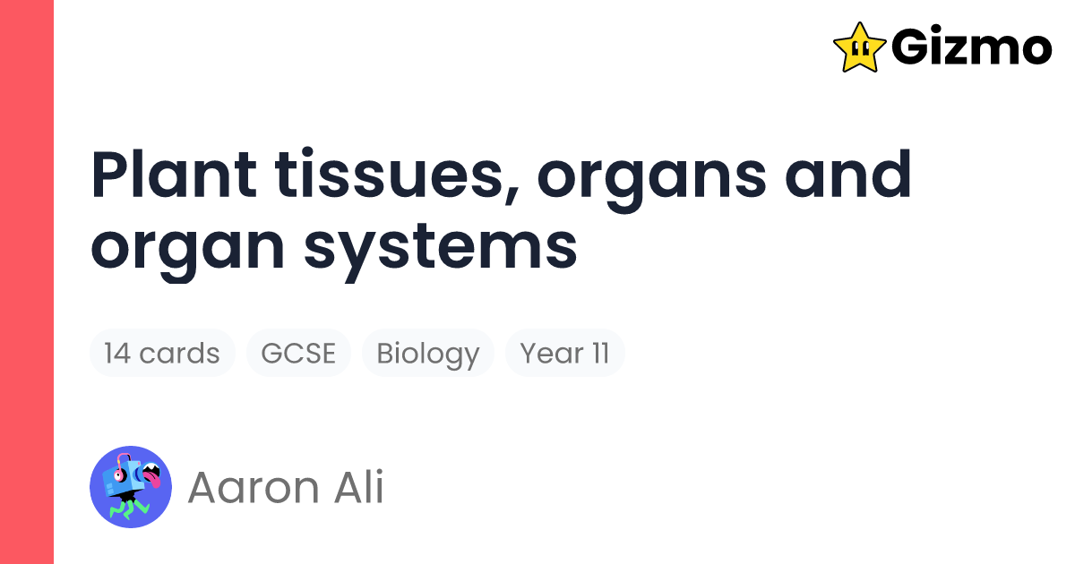Plant Tissues, Organs and Organ Systems | Flashcards