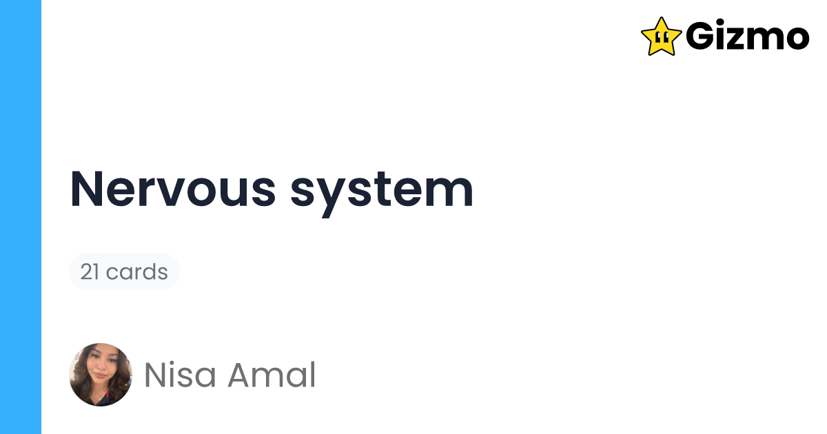Nervous System | Flashcards