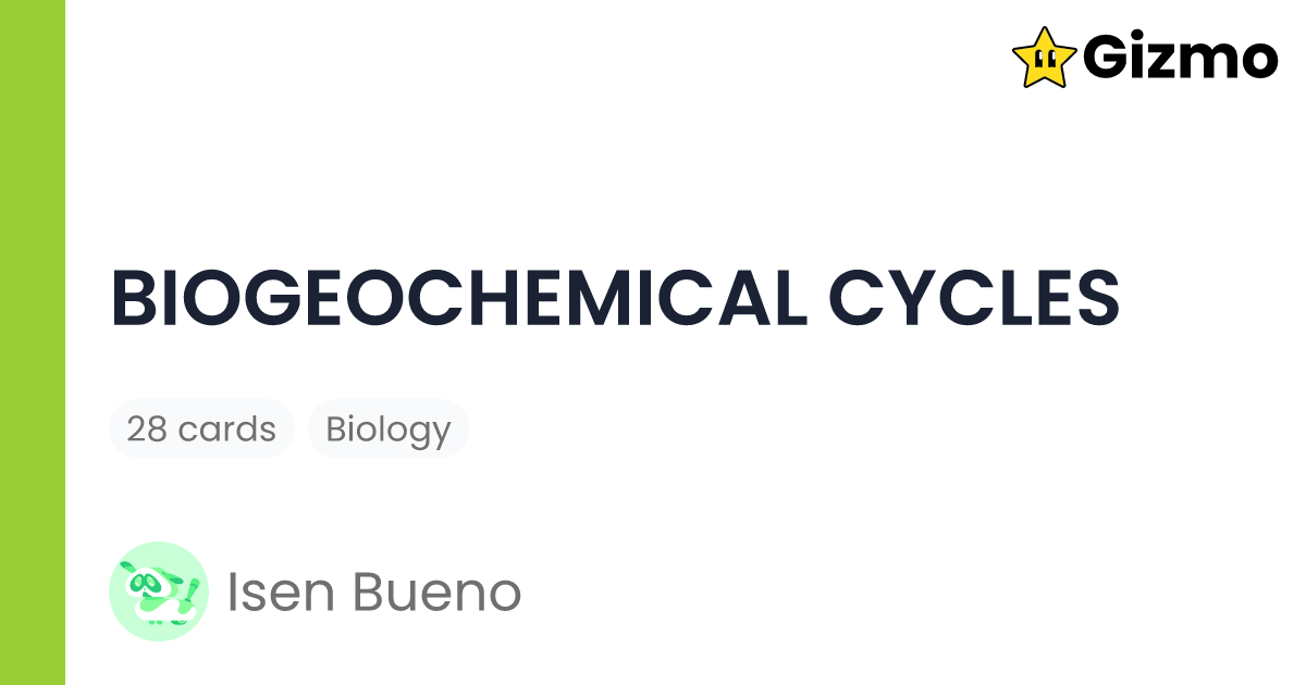 Biogeochemical Cycles | Flashcards