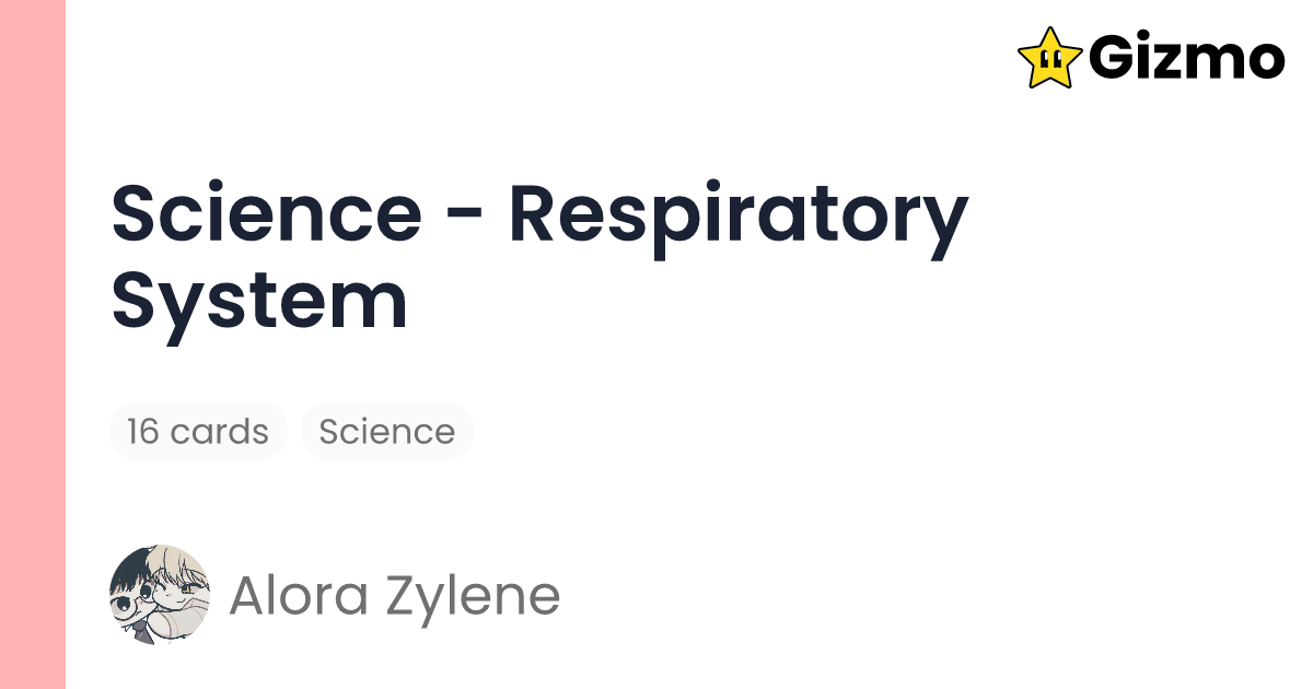 Science - Respiratory System | Flashcards