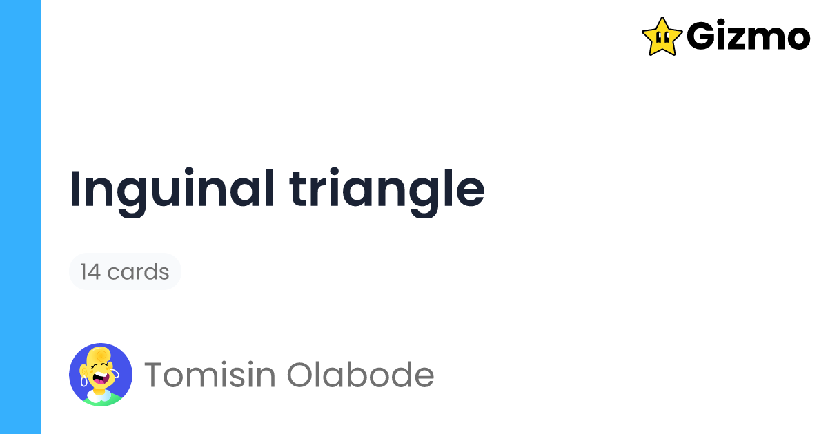 Inguinal Triangle | Flashcards