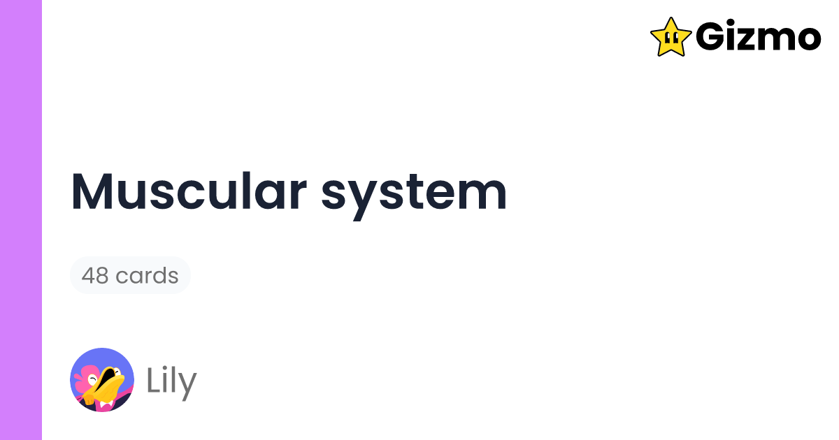 Muscular System | Flashcards